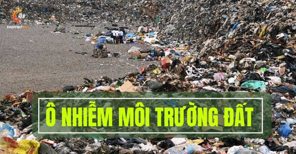 Ô nhiễm môi trường đất là gì? Hậu quả và Giải pháp