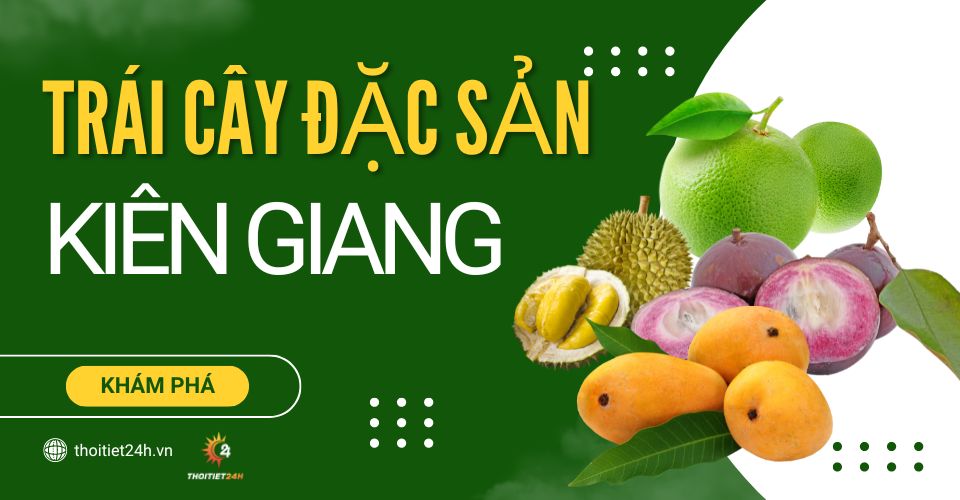 6 Loại trái cây đặc sản Kiên Giang thơm ngon, ai ăn cũng mê